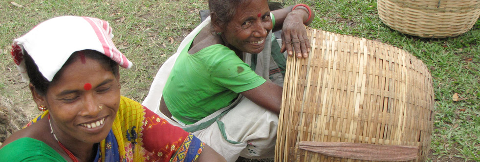 The Metropolitan Tea Company Inc. - Ethical Tea Partnership