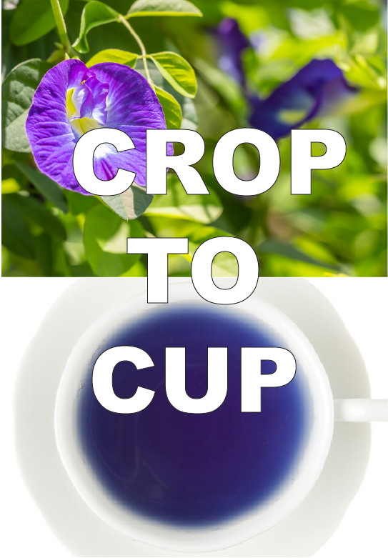 The Metropolitan Tea Company Inc. - Home