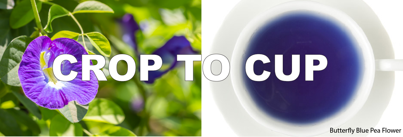 The Metropolitan Tea Company Inc. - Home