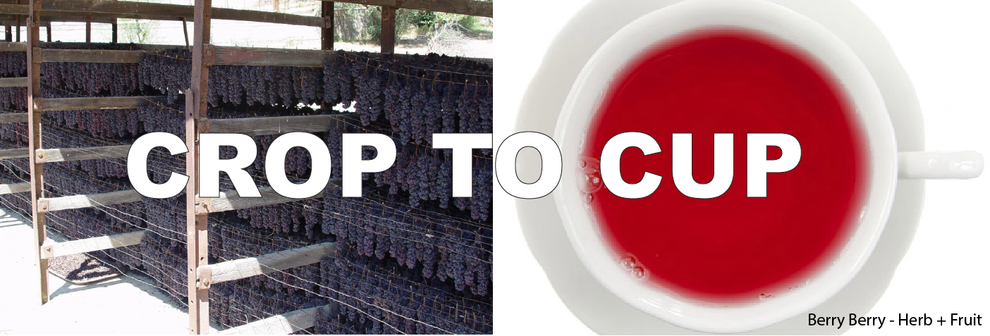 The Metropolitan Tea Company Inc. - Home