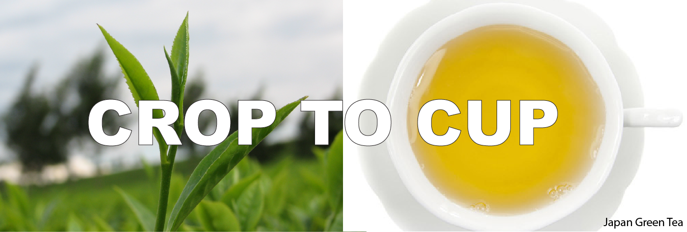 The Metropolitan Tea Company Inc. - Home