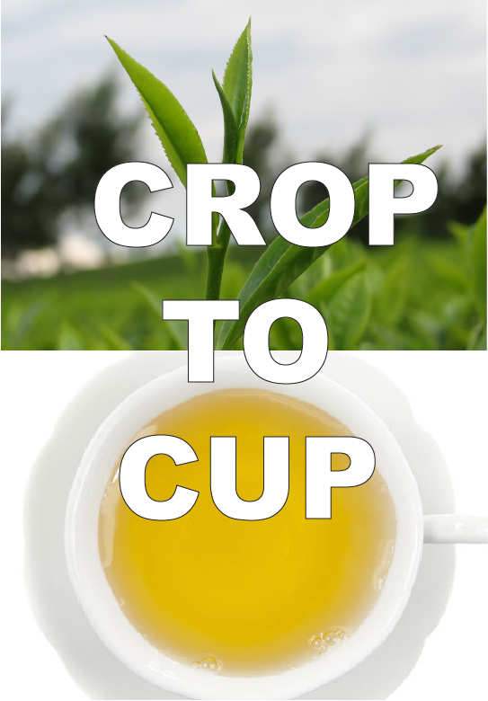 The Metropolitan Tea Company Inc. - Home