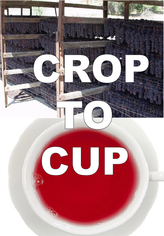 The Metropolitan Tea Company Inc. - Home