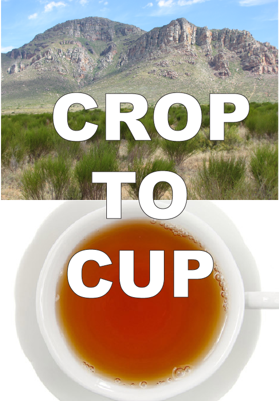 The Metropolitan Tea Company Inc. - Home