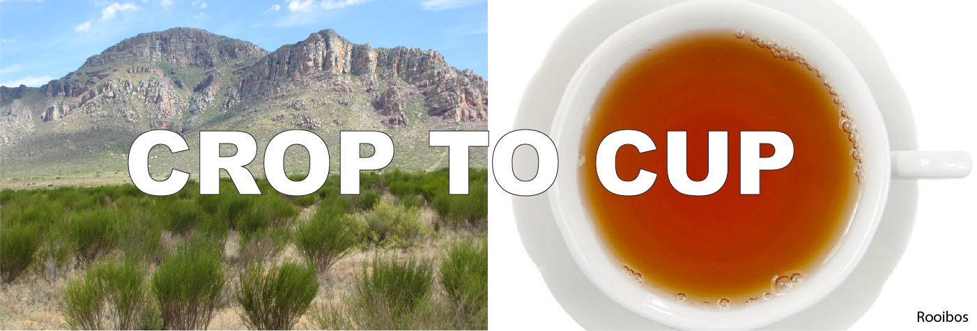 The Metropolitan Tea Company Inc. - Home